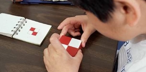 Comprendre le Wechsler Intelligence Scale for Children, Cinquième ...